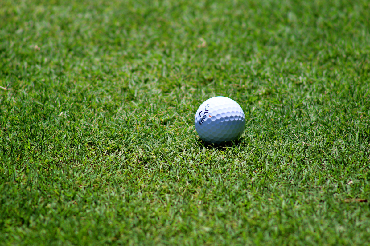 Hourly Weather for Camberley Heath Golf Course Heatherside - United ...