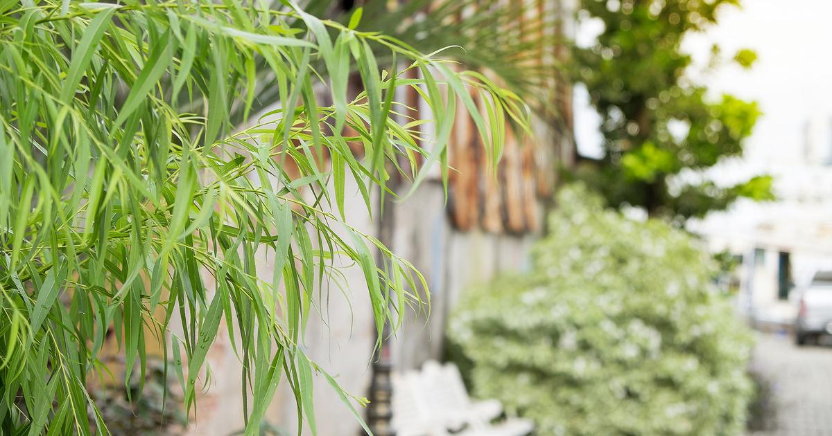 Meteo Le Sechet - France (Centre-Val de Loire) : Prévisions Meteo ...