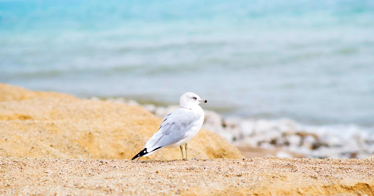 Meteo Bizerte Menzel Bourguiba - Tunisie : Prévisions Meteo Plage, Mer ...