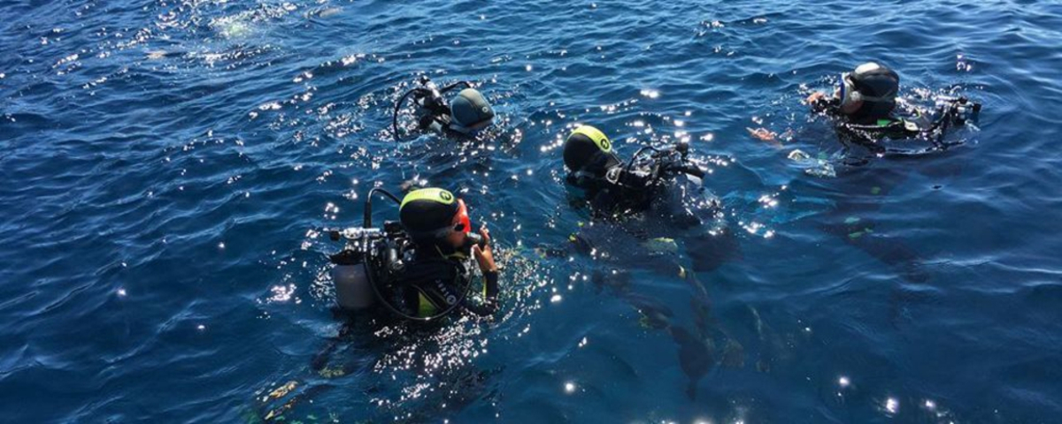 Loïc Le Clech, directeur du centre de plongée Iléo « nous préparons la ...
