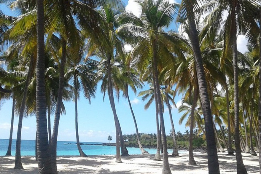 Les Comores : archipel de vie marine et paradis préservé - Actualités ...