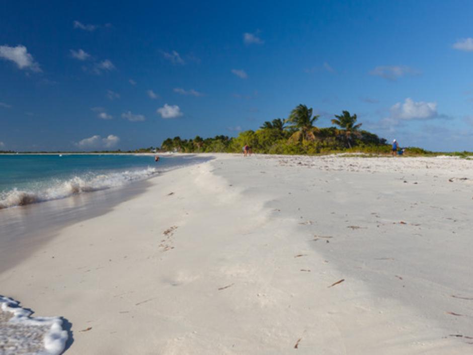 Barbuda, une destination 100 % nature - Actualités Nautisme