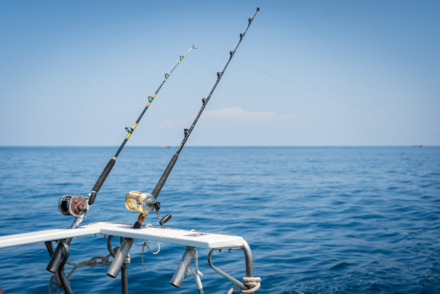 Quels poissons pêcher en avril en France ? Le guide complet par zone ...