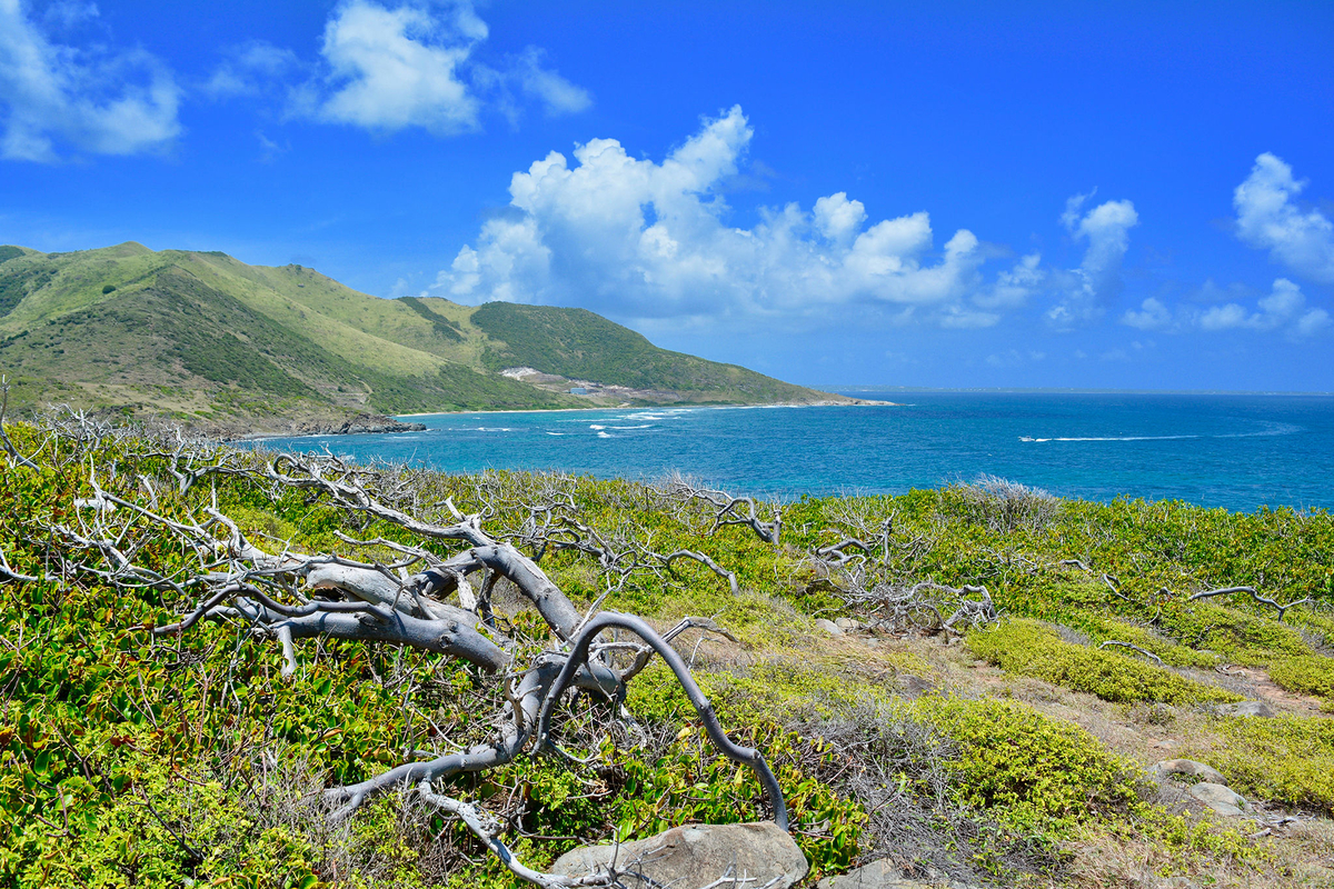 Weather Forecast Saint Martin - France : free 15 day weather forecasts ...