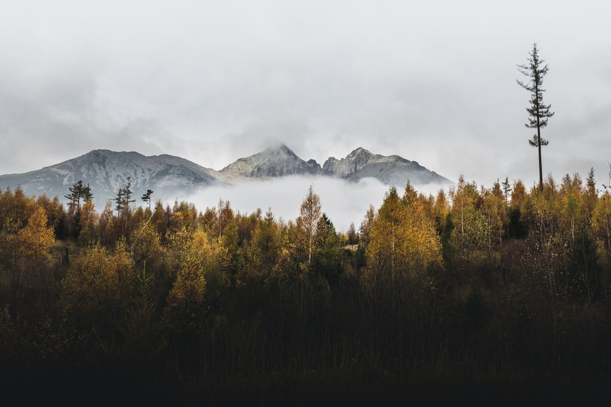 Weather Forecast Slovakia : free 15 day weather forecasts - Weather Crave