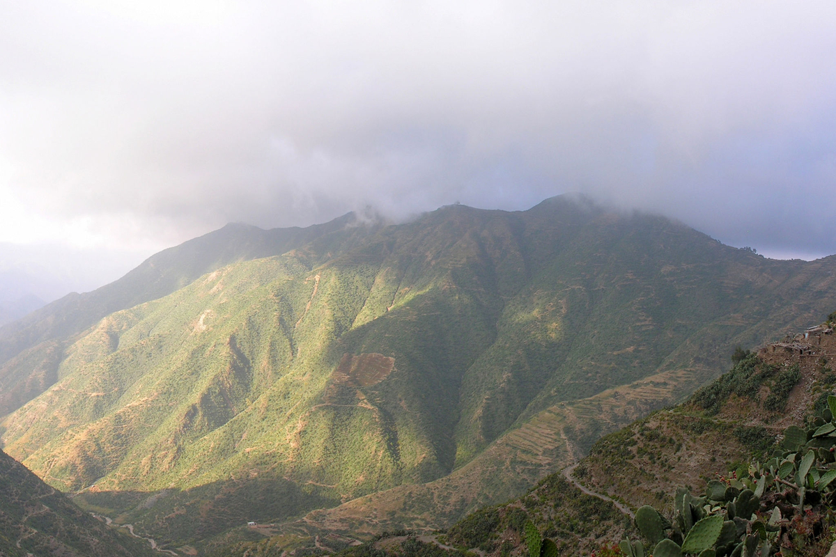 Hourly Weather for Golij - Eritrea (Gash-Barka Region) : FREE 15-day ...