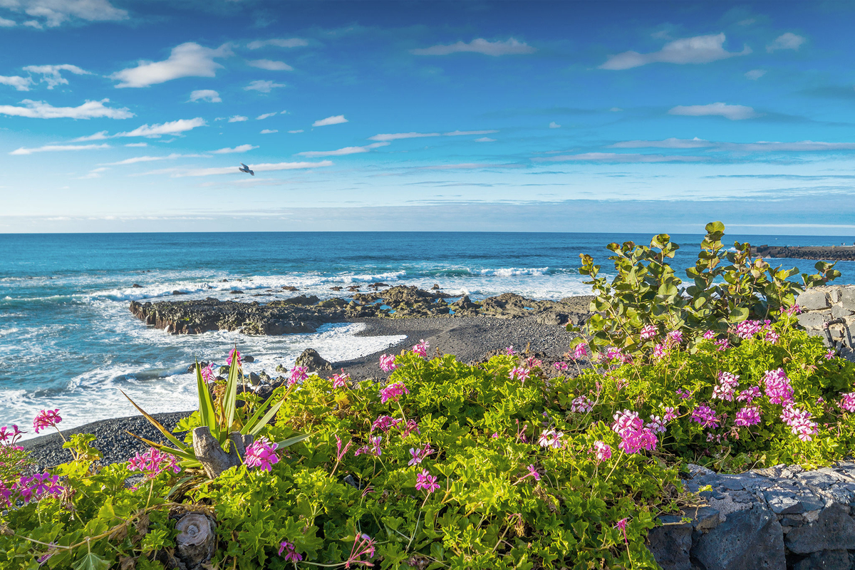 Weather Forecast Atlantic Ocean Islands : free 15 day weather forecasts ...