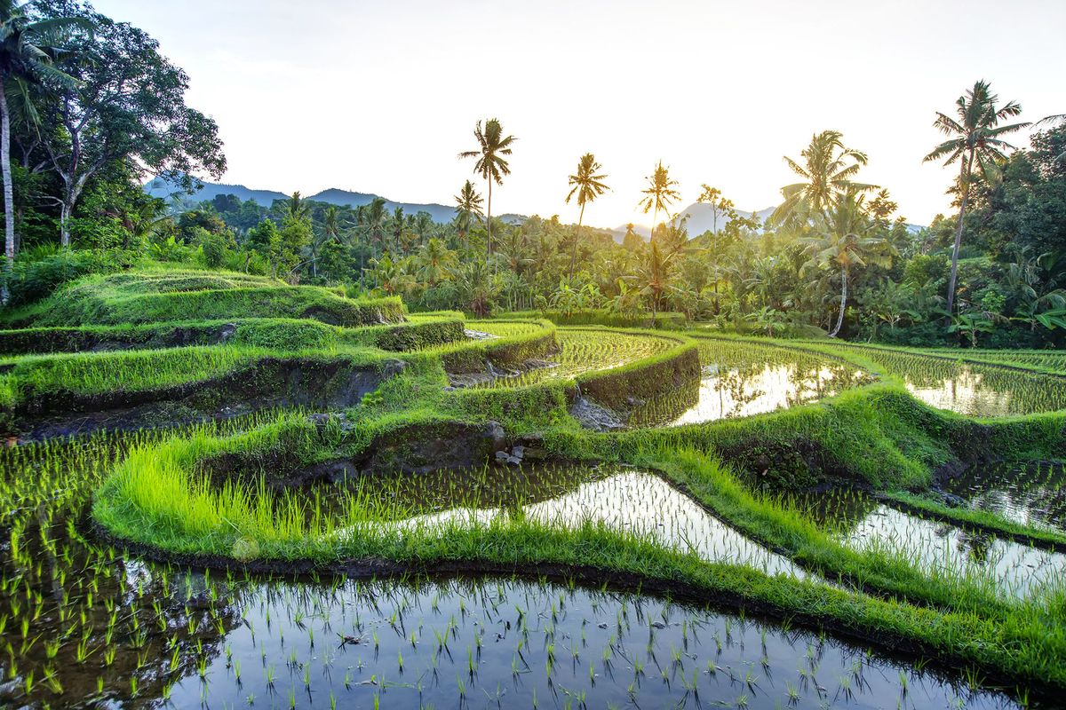 Weather Forecast Asia : free 15 day weather forecasts - Weather Crave