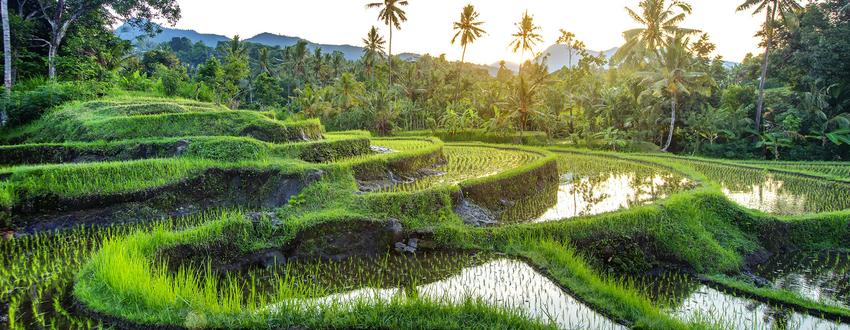 Weather Forecast Asia : free 15 day weather forecasts - Weather Crave