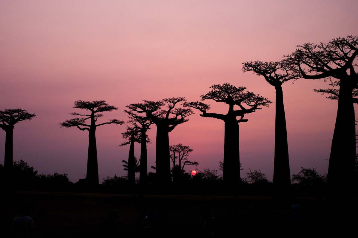 Meteo Port-Bergé - Madagascar (Province de Mahajanga) : Prévisions ...