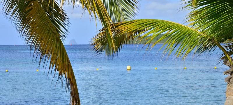 Weather Forecast Sainte-Anne (97227) - Martinique : free 15 day weather ...