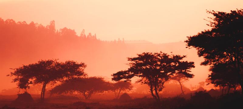 Weather Forecast Rwanda : free 15 day weather forecasts - La Chaîne Météo