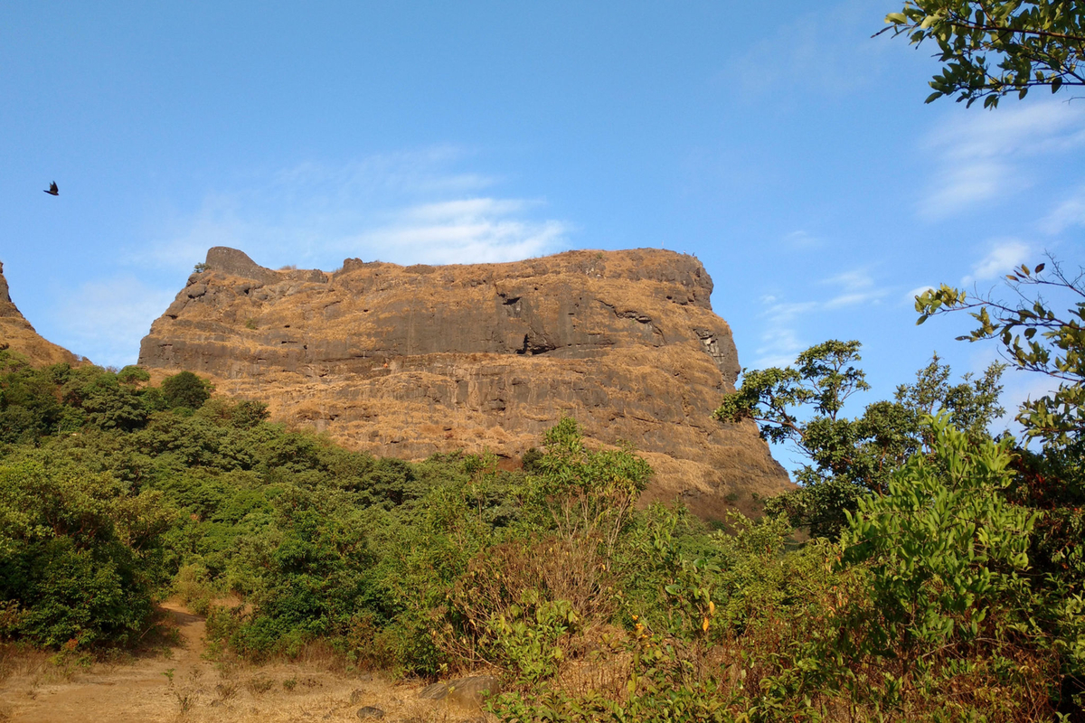 Weather Forecast New Dormaa - Ghana (Brong-Ahafo Region) : free 15 day ...