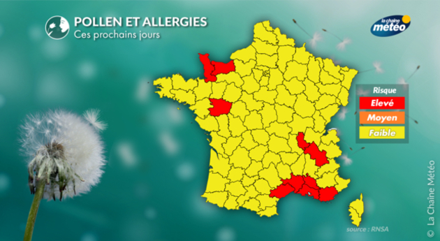 Actualité Météo : Pollen et allergies : gare au frêne et à l'arrivée ...