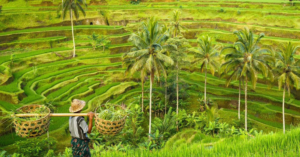 Météo à Bali en Octobre 2026 - Guide Voyage avec La Chaîne Météo