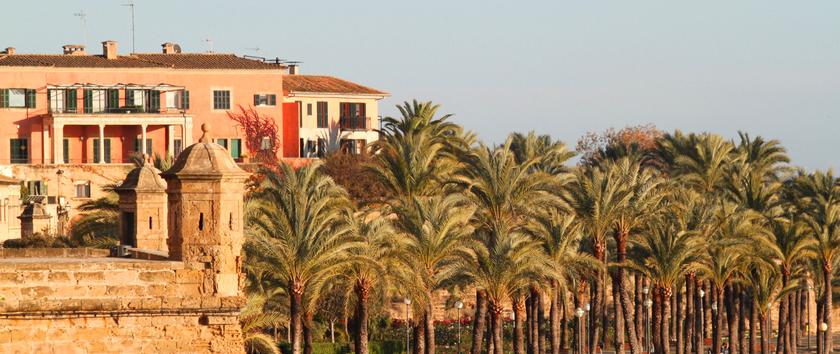 Météo à Palma de majorque en Février 2026 - Guide Voyage avec La Chaîne ...