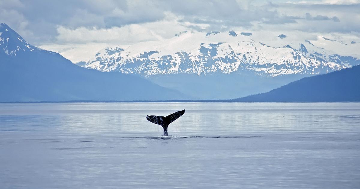 Meteo Alaska - Etats-Unis : Prévisions Meteo GRATUITE à 15 jours - La ...