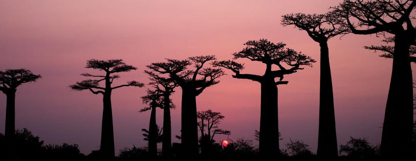 Meteo Madagascar : Prévisions Meteo GRATUITE à 15 jours - La Chaîne Météo