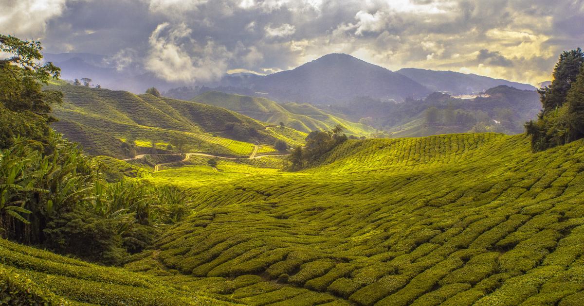 Weather Forecast Selangau - Malaysia (Sarawak) : free 15 day weather ...