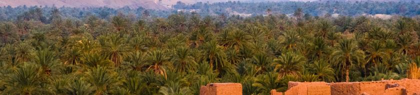 Meteo Tahla - Maroc (Fès-Meknès) : Prévisions Meteo GRATUITE à 15 jours ...