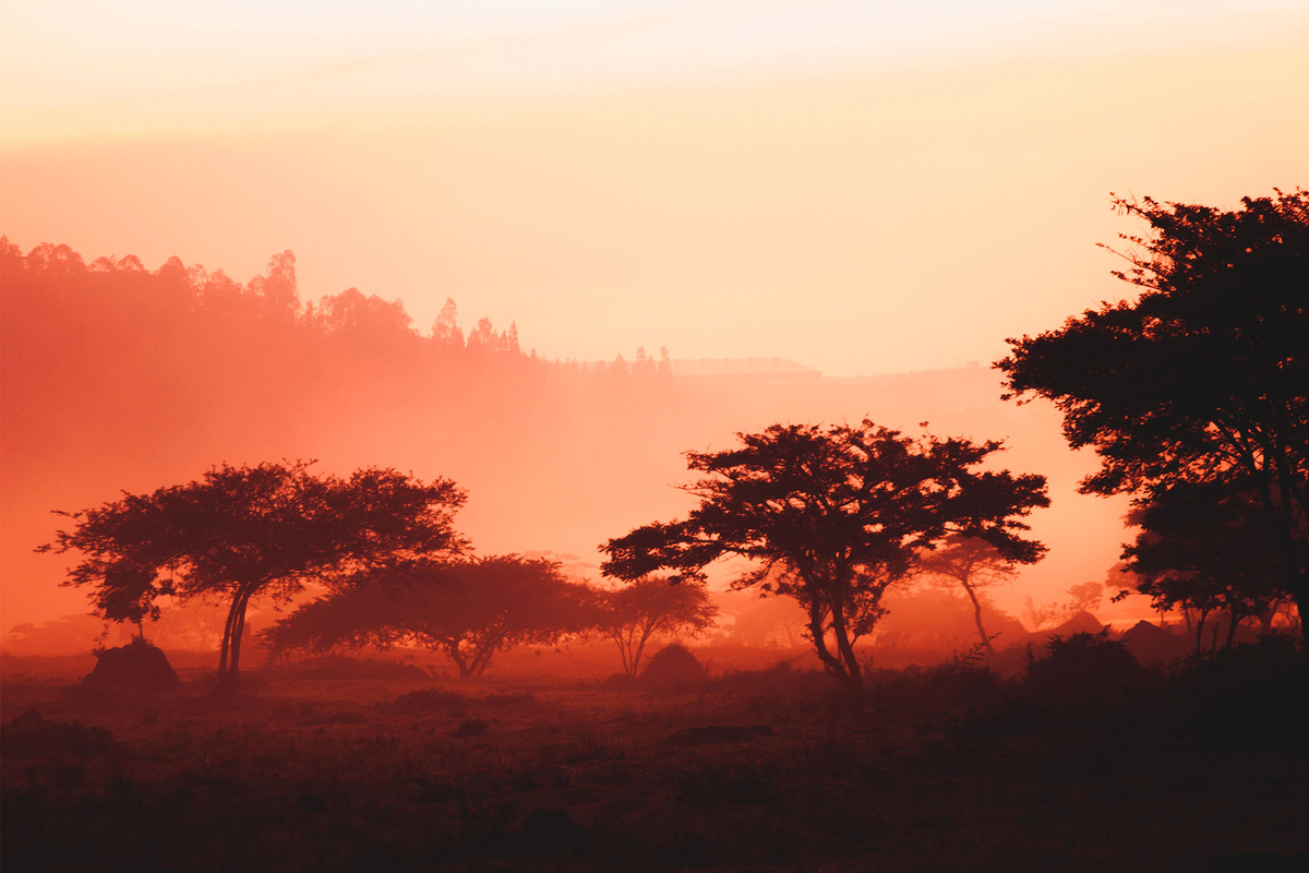 Meteo Rwanda : Prévisions Meteo GRATUITE à 15 jours - La Chaîne Météo