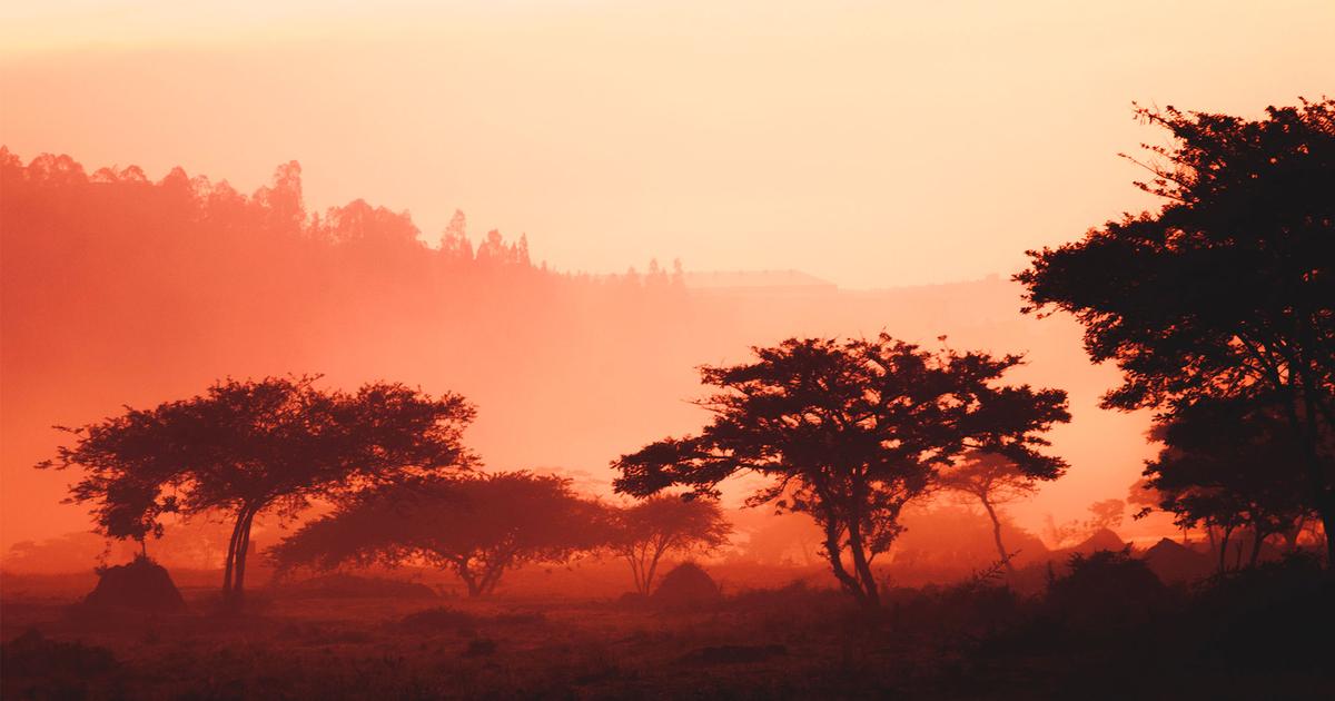 Meteo Rwanda : Prévisions Meteo GRATUITE à 15 jours - La Chaîne Météo