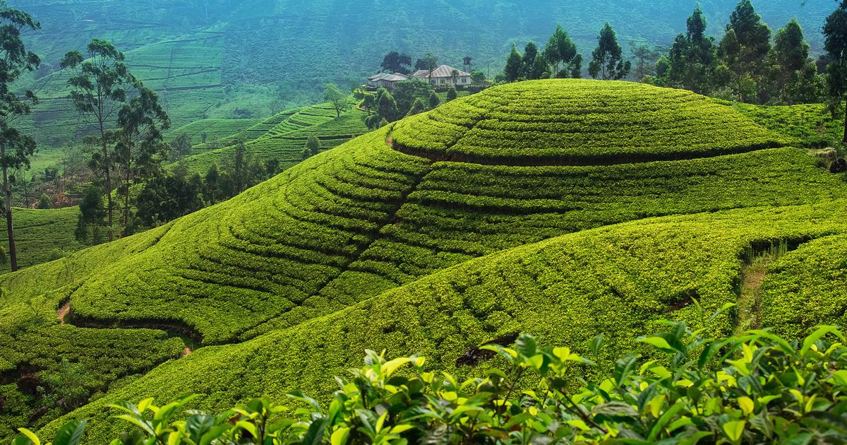 Weather Forecast Jaffna - Sri Lanka (Northern Province) : free 15 day ...