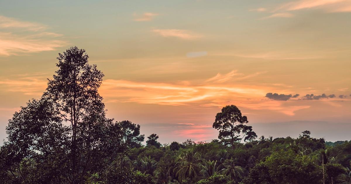 Meteo Gabon : Prévisions Meteo GRATUITE à 15 jours - La Chaîne Météo