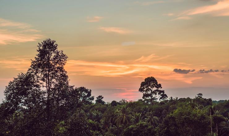 Meteo Libreville - Gabon (Estuaire) : Prévisions Meteo GRATUITE à 15 ...