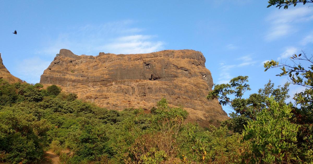 Weather Forecast New Dormaa - Ghana (Brong-Ahafo Region) : free 15 day ...