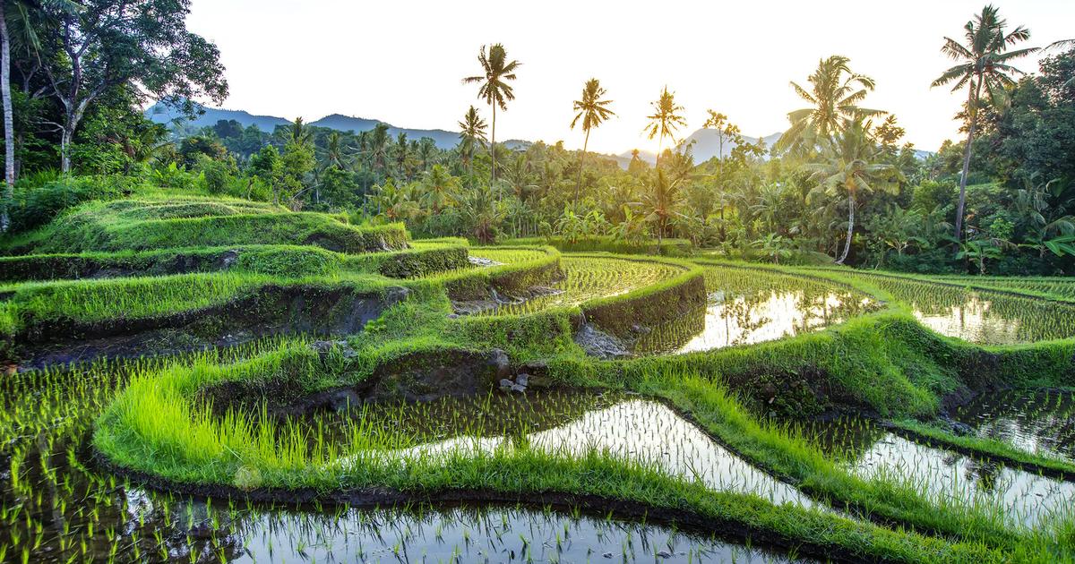 Weather Forecast Asia : free 15 day weather forecasts - Weather Crave