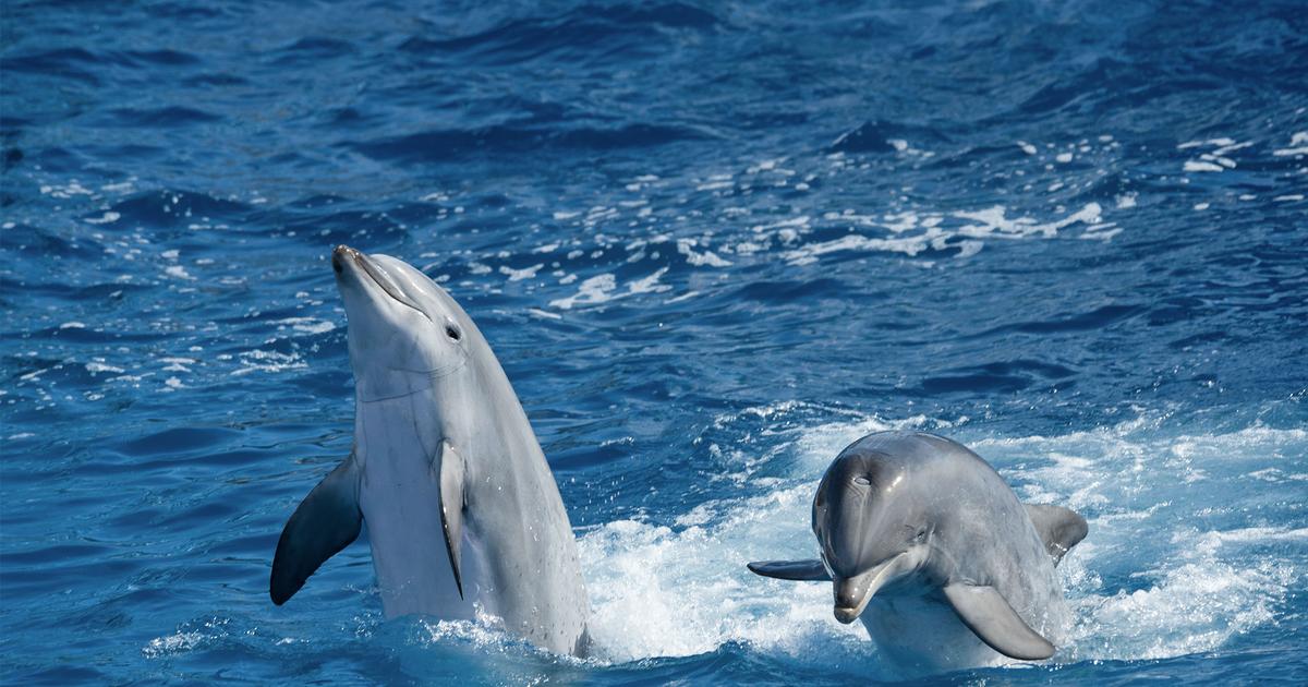 Weather Forecast SeaWorld San Diego Old Town - United States ...