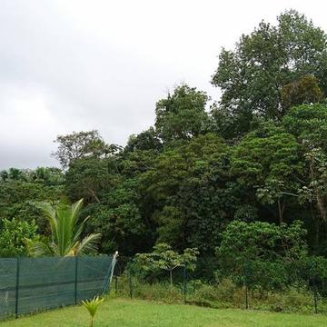 Meteo Heure par Heure Cayenne (97300) - Guyane Française : Prévisions ...