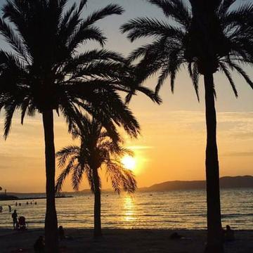 Météo à Palma de majorque en Juin 2026 - Guide Voyage avec La Chaîne Météo