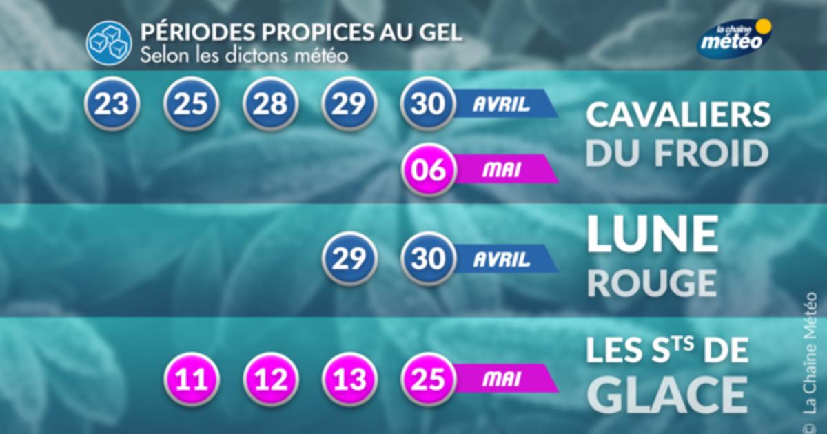 Risque de gelées : les dictons météo qui en parlent - Actualités La ...