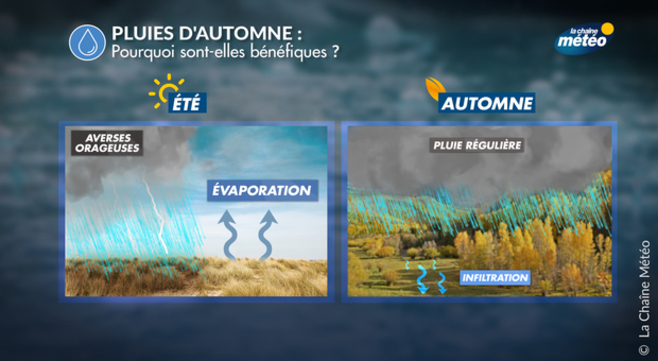 Les pluies de l'automne sont importantes : explications - Actualités La ...