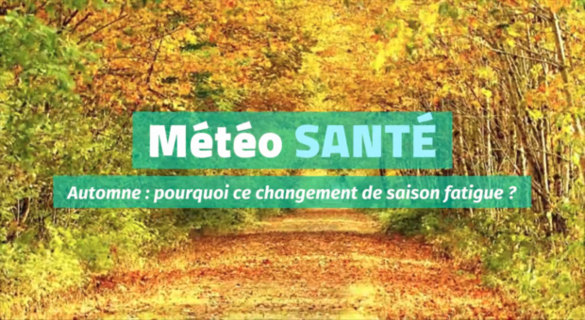 Automne : pourquoi ce changement de saison nous fatigue ? - Actualités ...