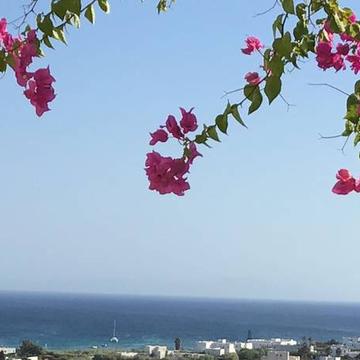 Météo à Athènes en Décembre 2026 - Guide Voyage avec La Chaîne Météo