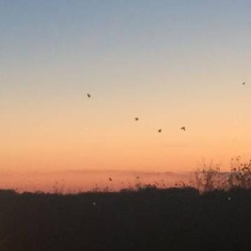 Meteo Bar-le-Duc (55000) - Meuse : Prévisions Meteo GRATUITE à 15 jours ...