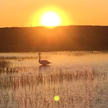 Meteo Névez (29920) - Finistère : Prévisions Meteo GRATUITE à 15 jours ...