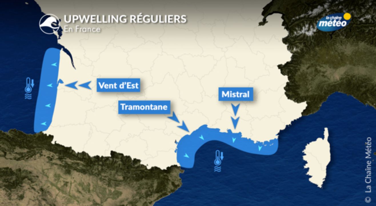 L'upwelling : la remontée des eaux froides profondes vers la surface ...