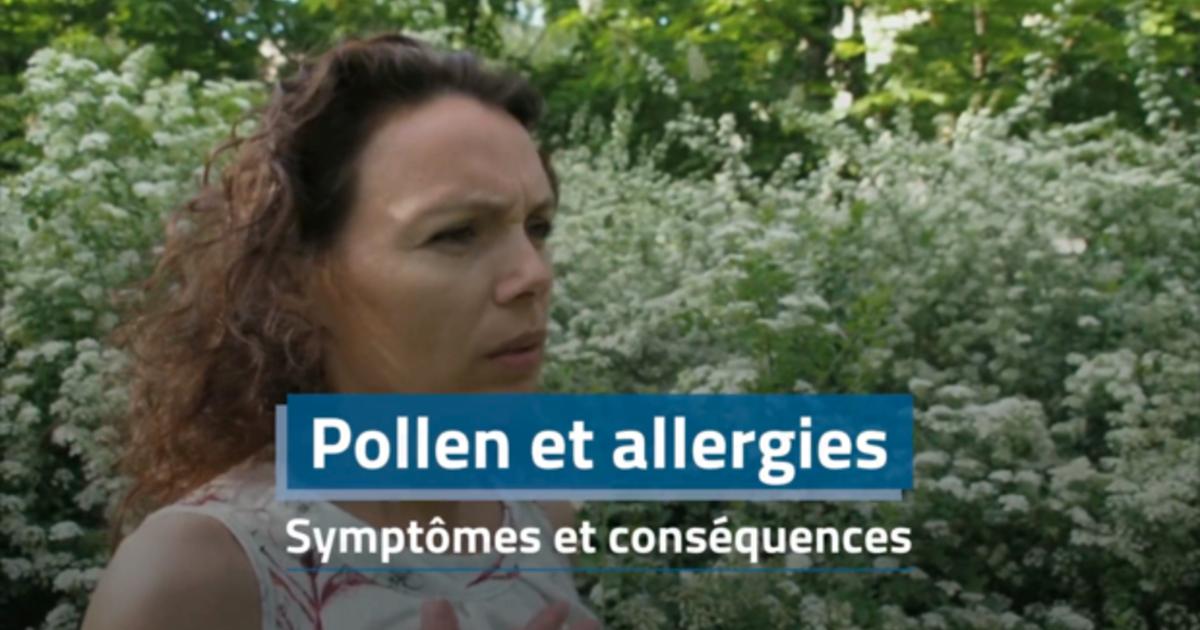 Pollen et allergies : les symptômes et les conséquences de l'allergie ...