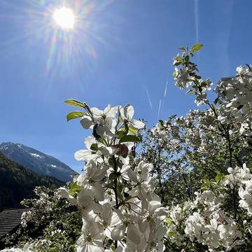 Meteo Châtel (74390) - Haute-Savoie : Prévisions Meteo GRATUITE à 15 ...
