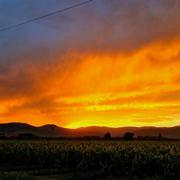 Meteo Colmar (68000) - Haut-Rhin : Prévisions Meteo GRATUITE à 15 jours ...