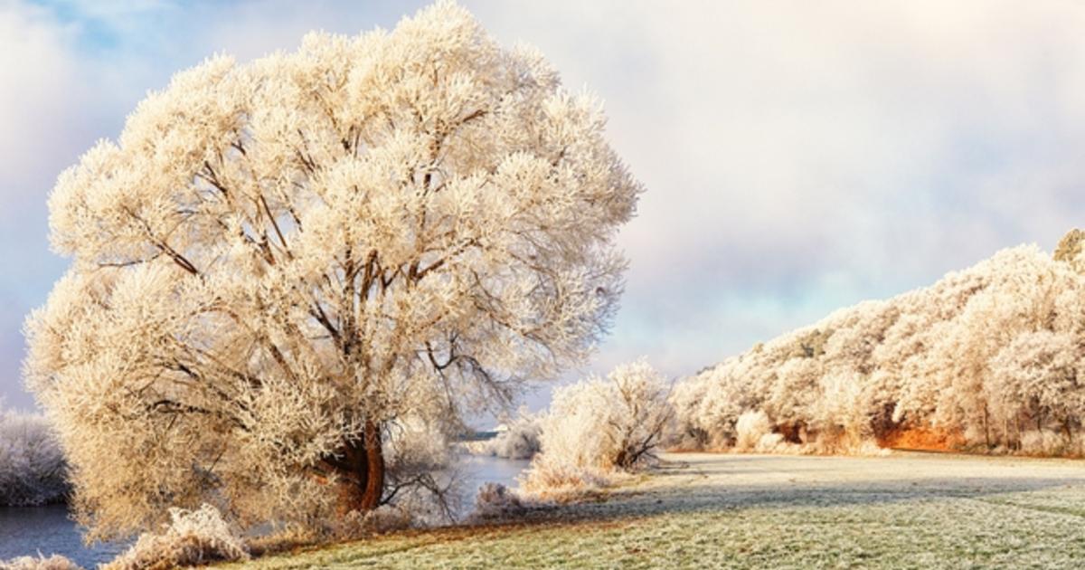Risque d'hiver froid, consommation d'énergie : qu'en sera-t-il vraiment ...