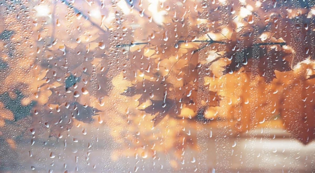 Pluie, vent et baisse des températures : l'automne s'installe ...