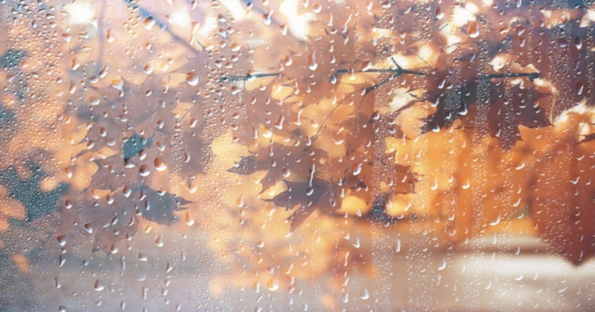 Pluie, vent et baisse des températures : l'automne s'installe ...