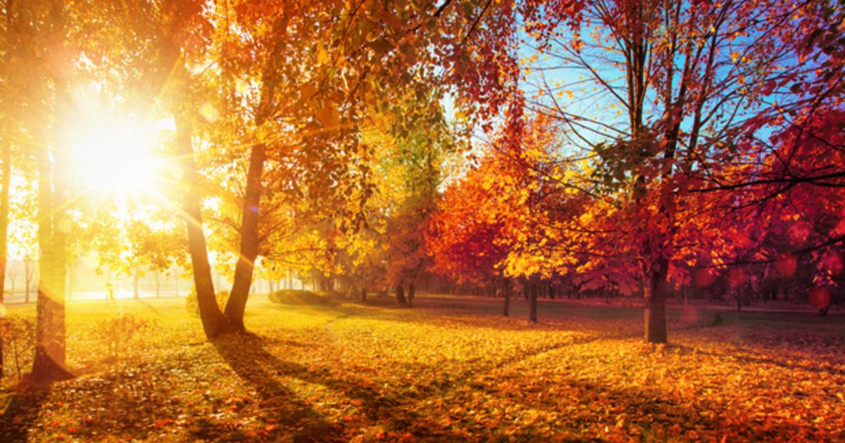 Automne 2022 : au 2ème rang des plus chauds après 2006 - Actualités La ...