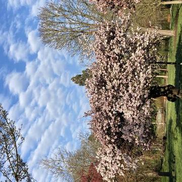 Meteo Nancy (54000) - Meurthe-et-Moselle : Prévisions Meteo GRATUITE à ...