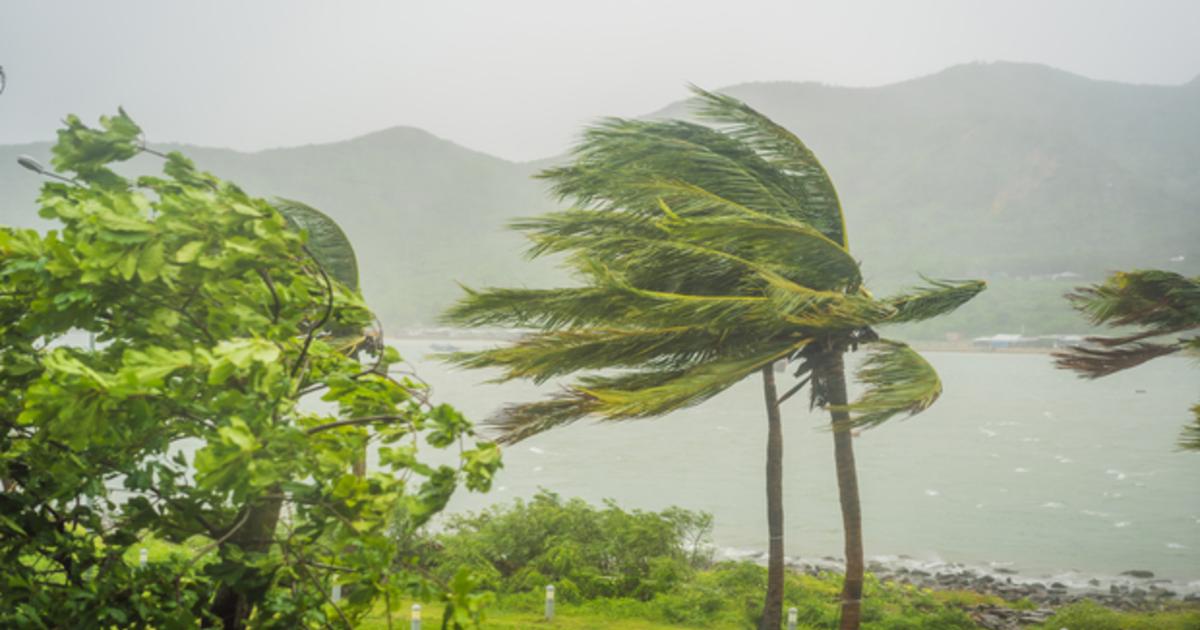 Tempête tropicale Bret : fin de la vigilance cyclonique rouge ...